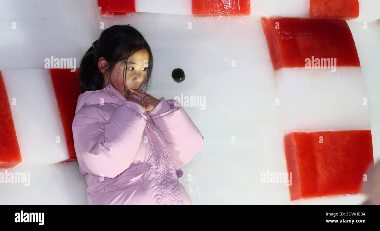 Visitors enjoy the newly upgraded Dream Ice and Snow Museum at Harbin ...
