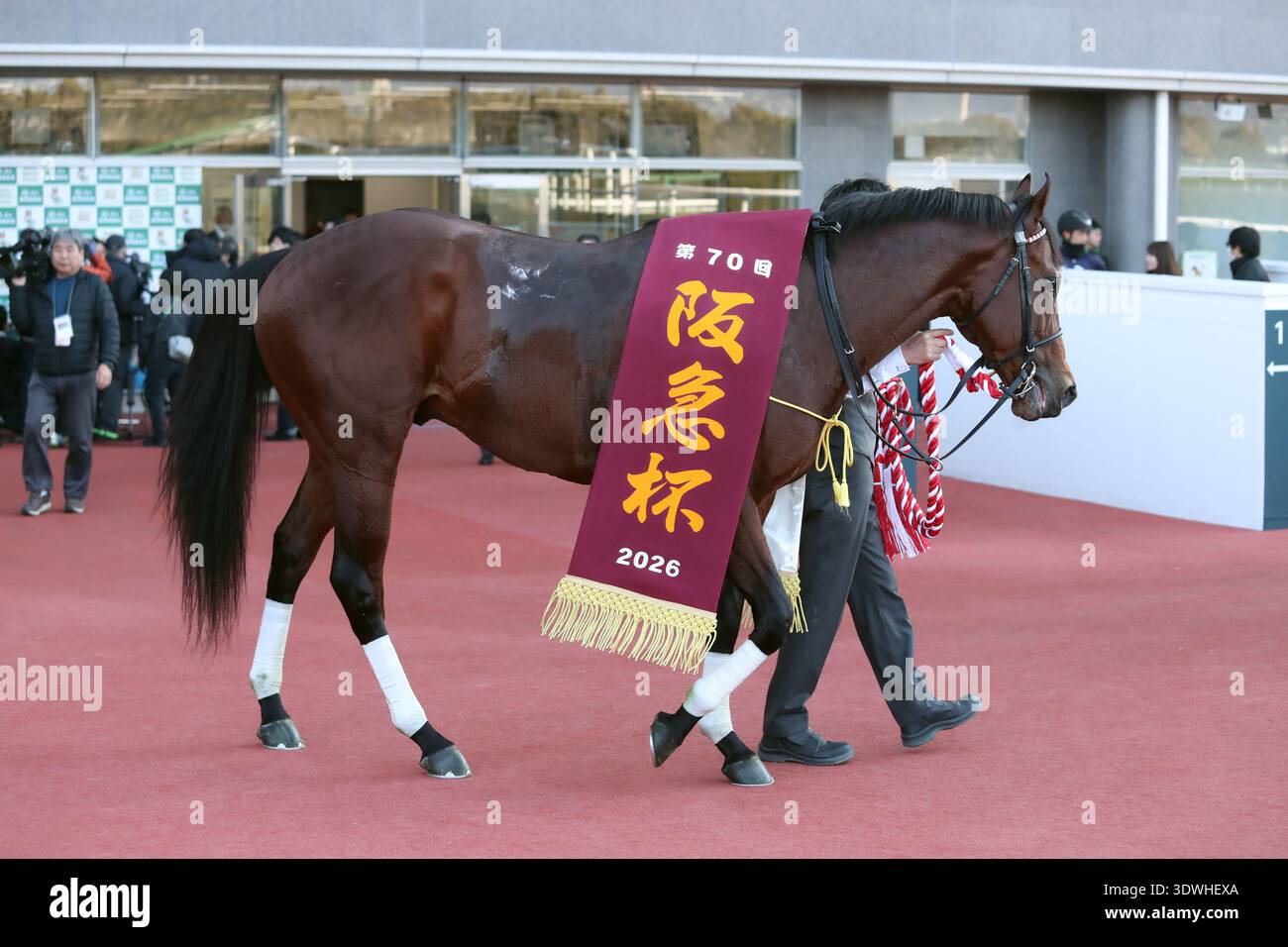 2026/02/21 HANSHIN 11R THE HANKYU HAI / 1 / Sonshi(IRE) Hanshin ...