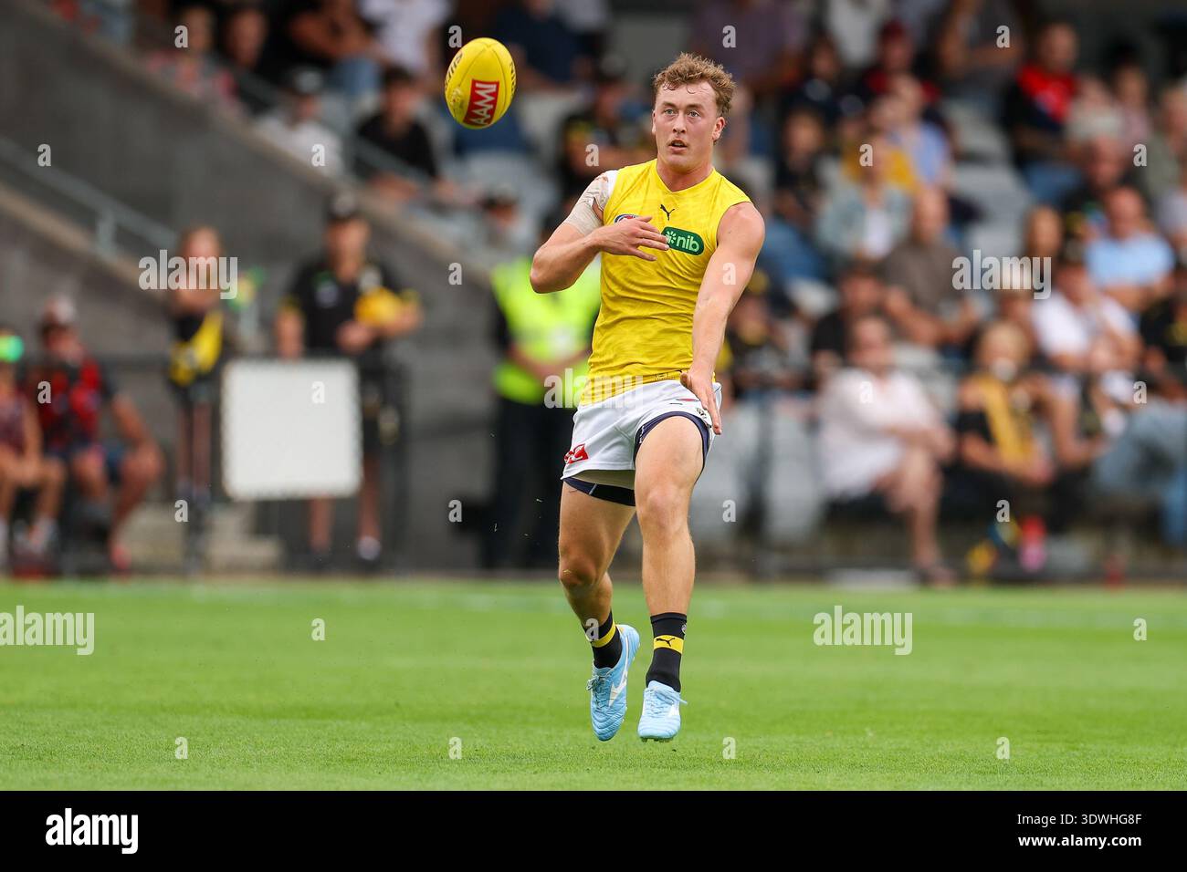 Kane Mcauliffe of the Tigers kicks the ball during the AFL Community ...