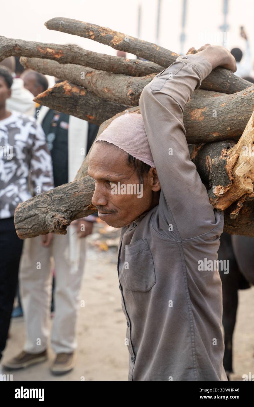 Man carrying firewood on shoulder hi-res stock photography and images - Alamy