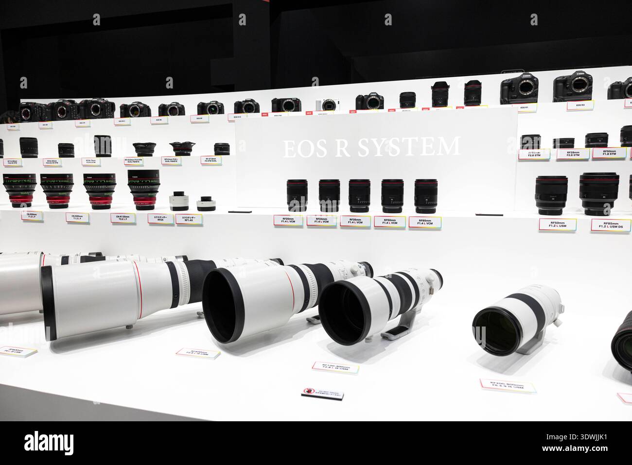 Canon eos r system lenses hi-res stock photography and images - Alamy
