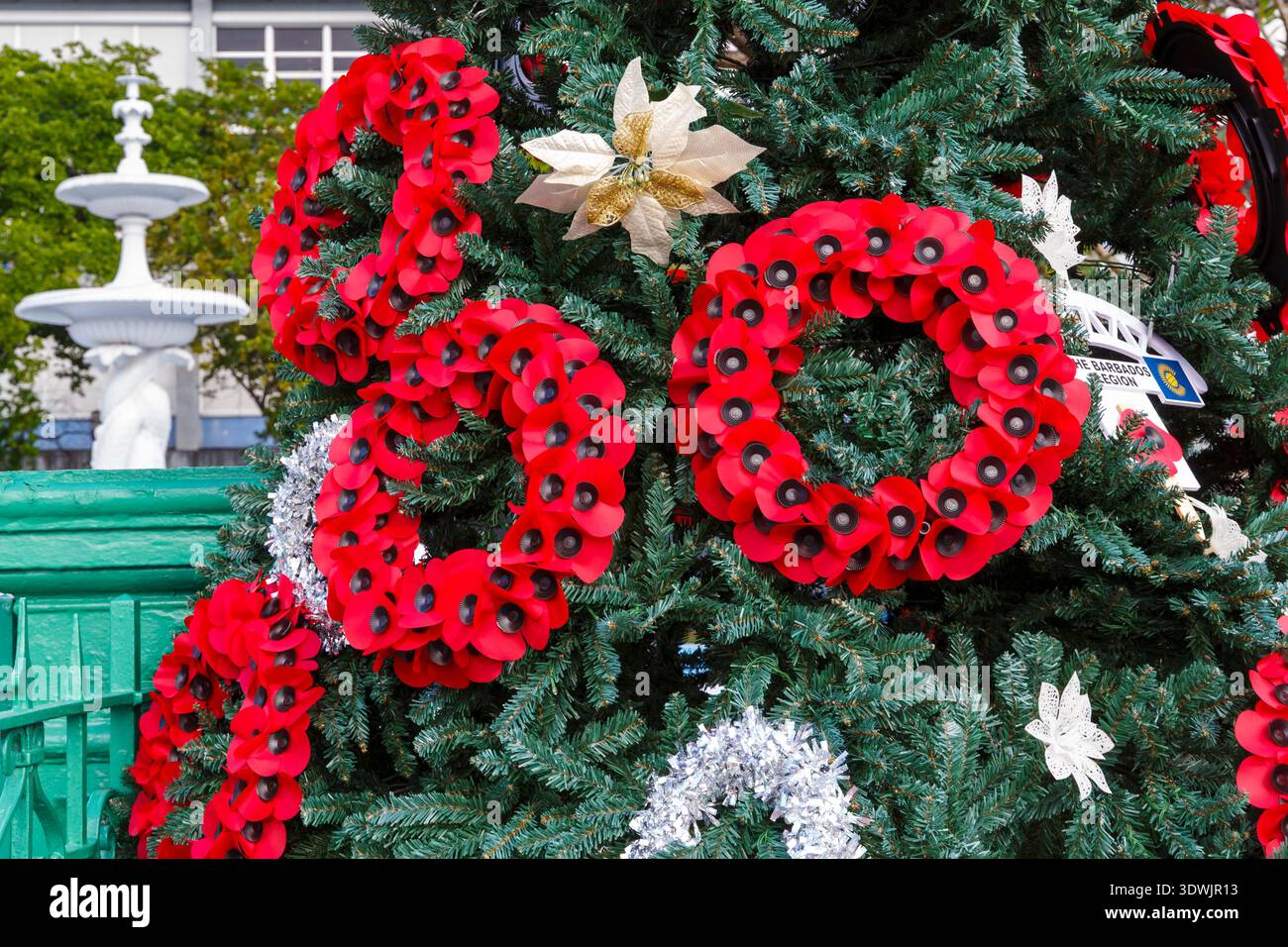 The barbados legion christmas tree hi-res stock photography and images ...