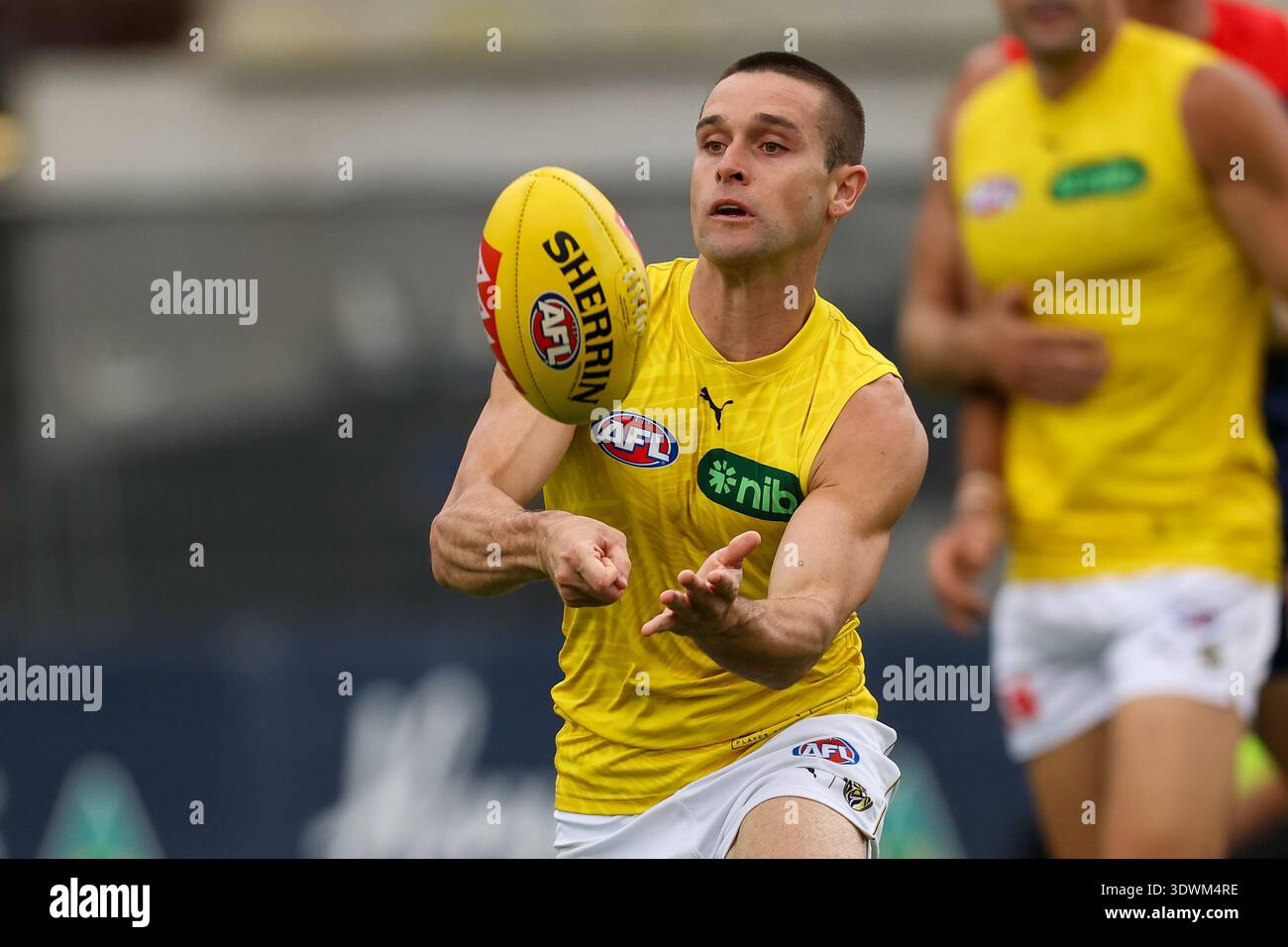 Ballarat, Australia. 27th Feb, 2026. Jayden Short of the Tigers hand ...