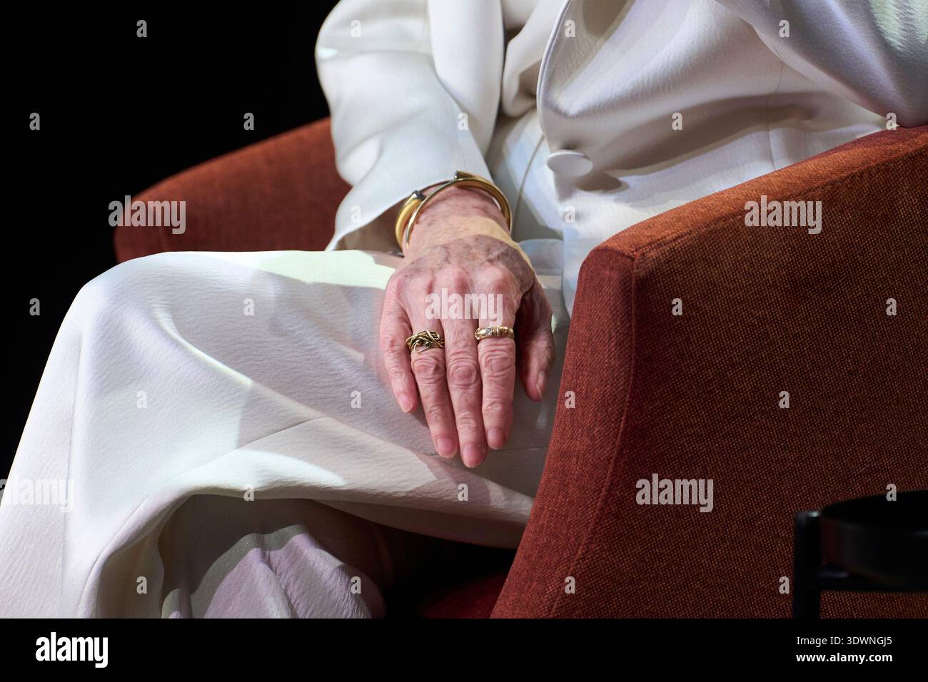 Susan Sarandon attends a press conference for her International Goya ...