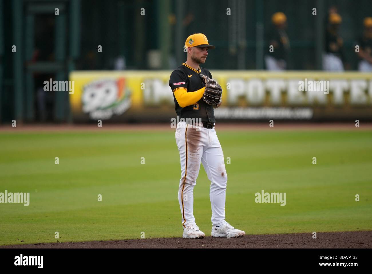 Pittsburgh Pirates' Brandon Lowe plays during a spring training ...