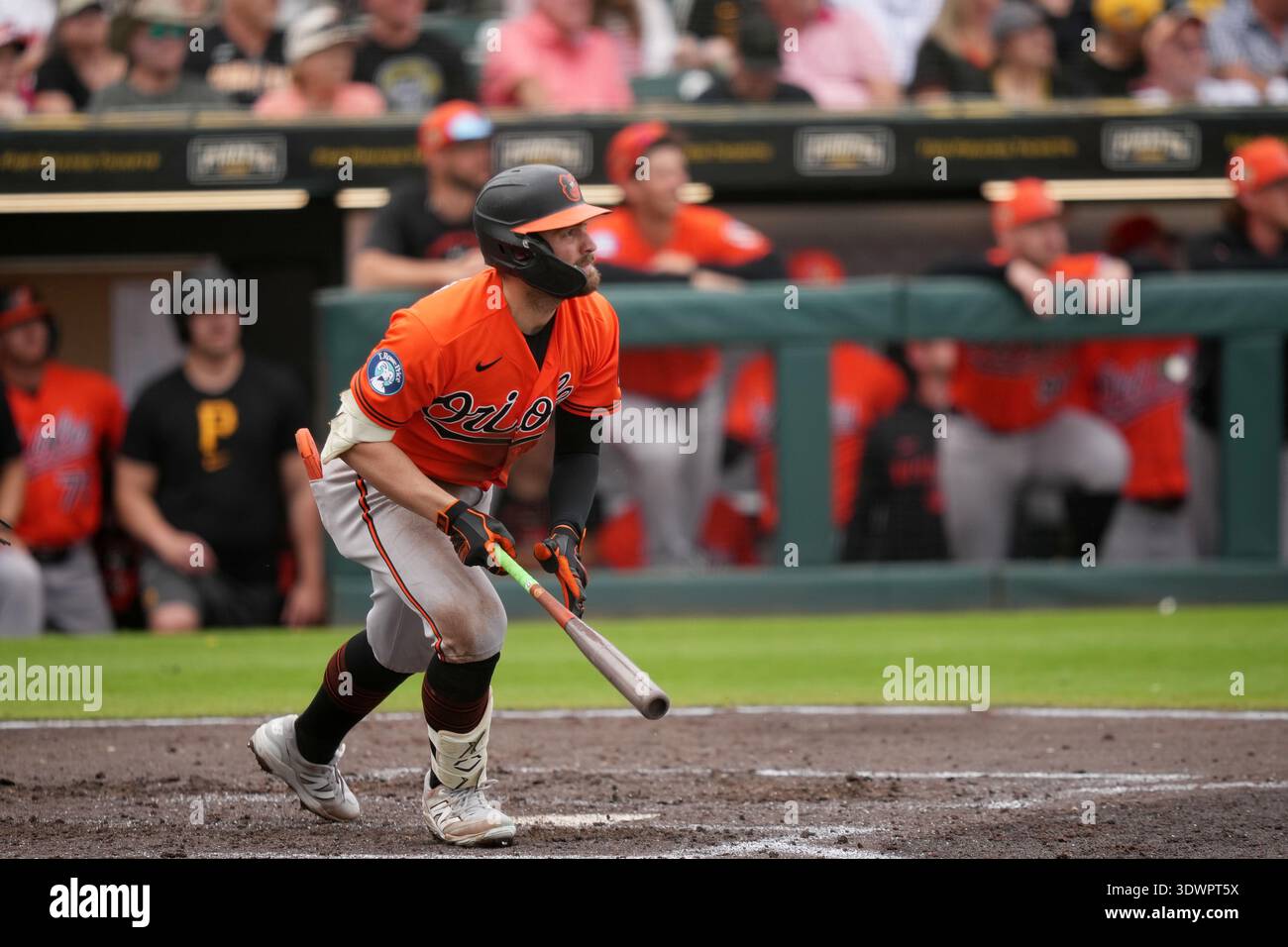 Baltimore Orioles' Colton Cowser plays during a spring training ...