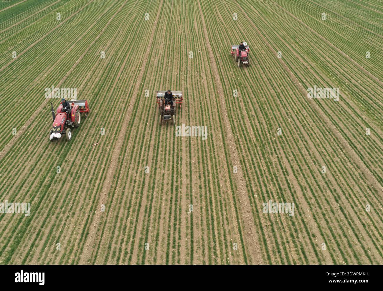 Aerial photo shows farmers conducting field management during spring ...