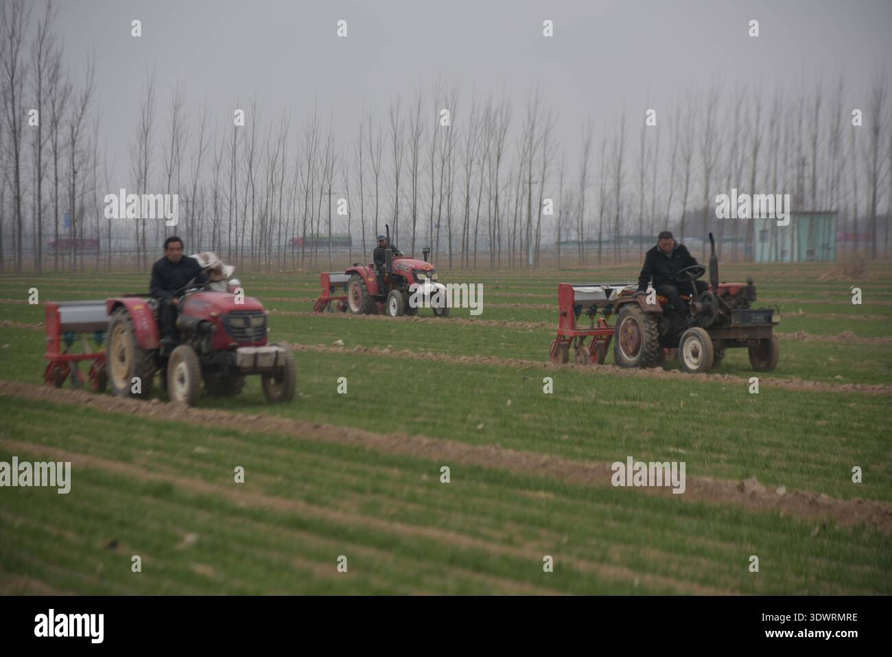 Aerial photo shows farmers conducting field management during spring ...