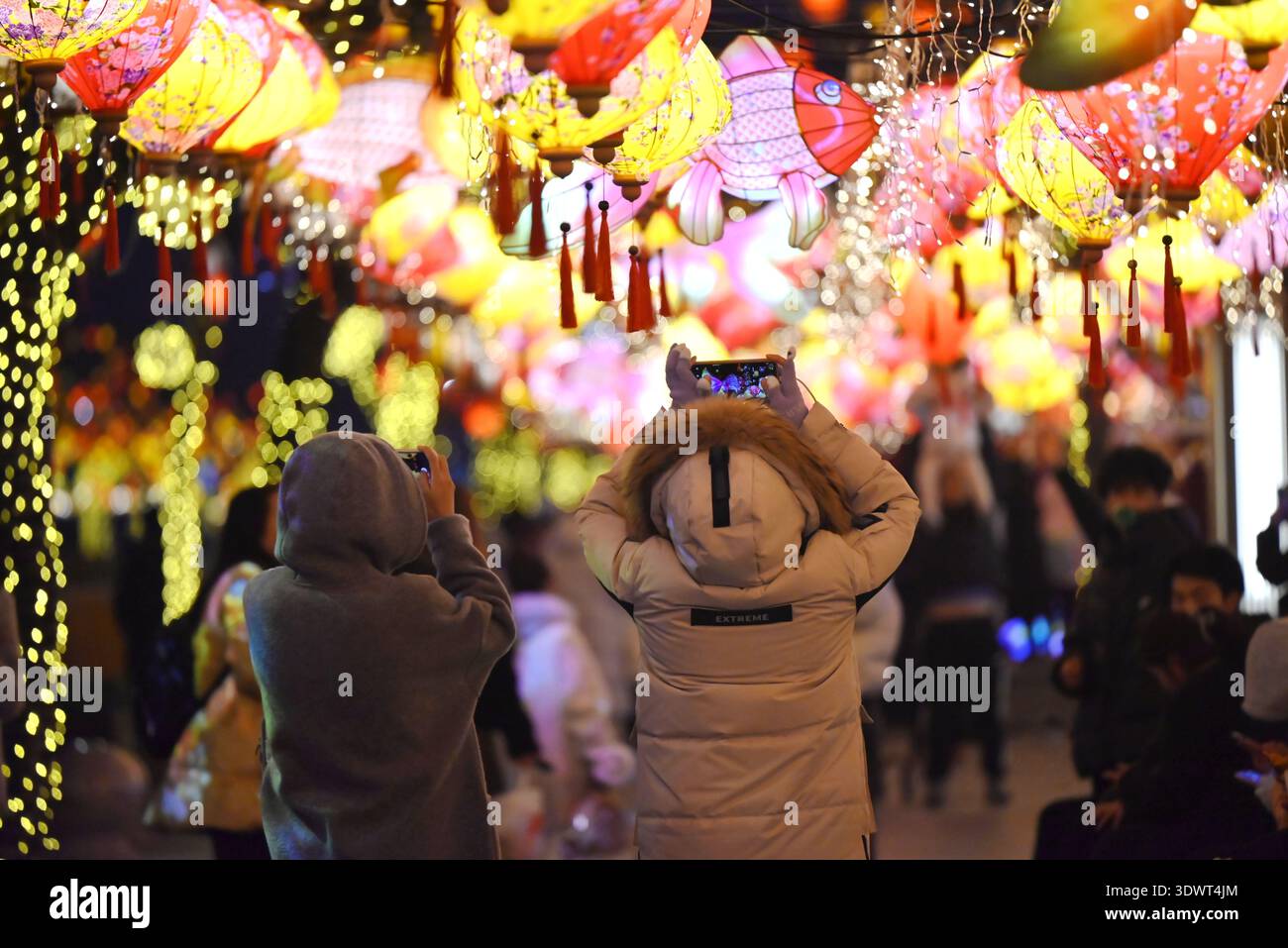 Visitors admire lantern displays in Tongqing Street, Haidian District ...
