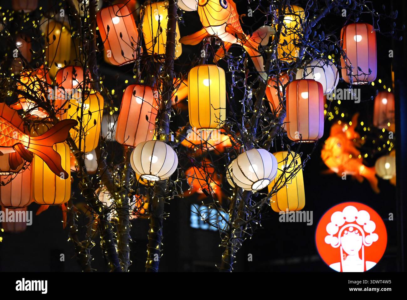 Visitors admire lantern displays in Tongqing Street, Haidian District ...