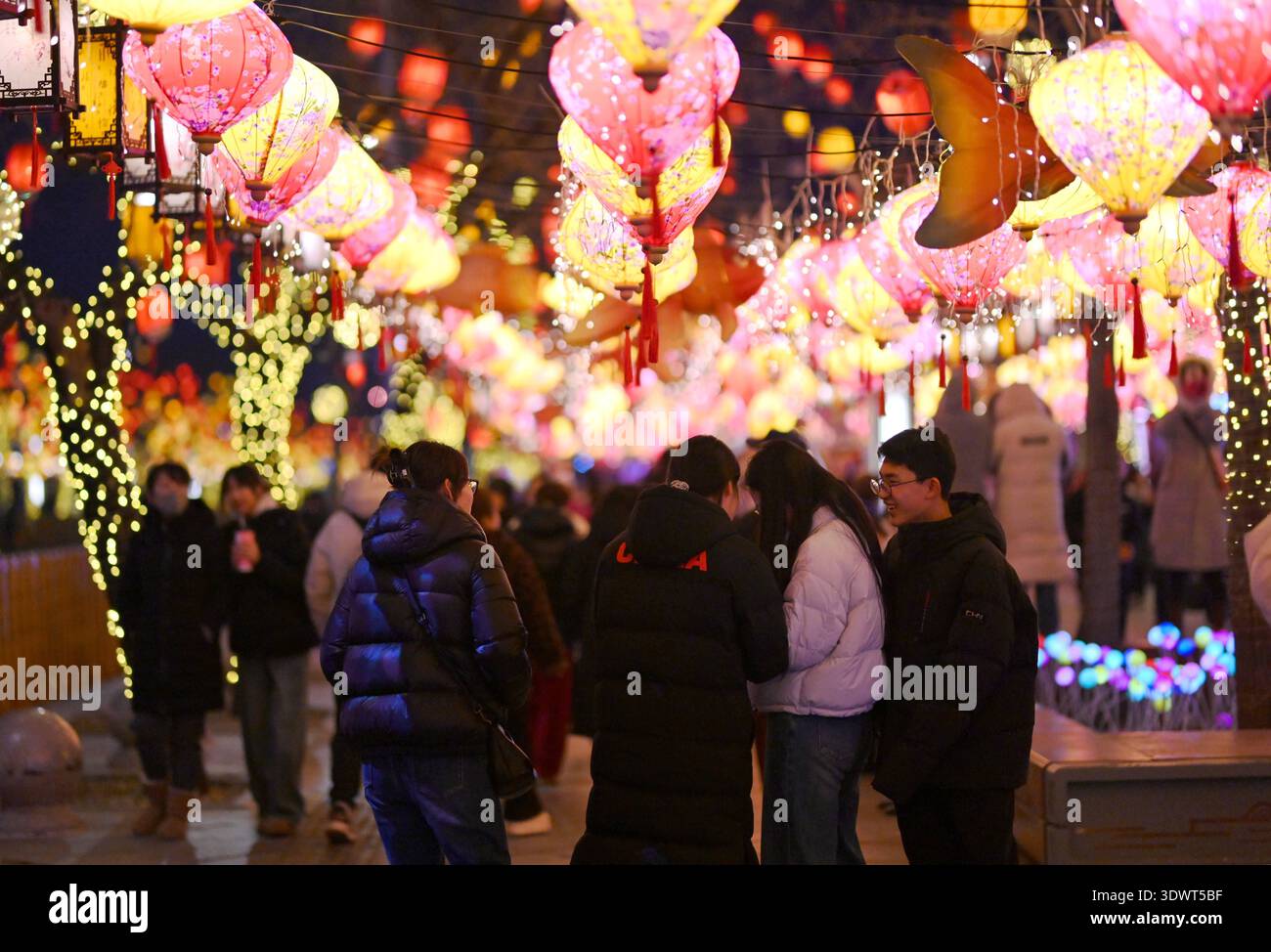 Visitors admire lantern displays in Tongqing Street, Haidian District ...