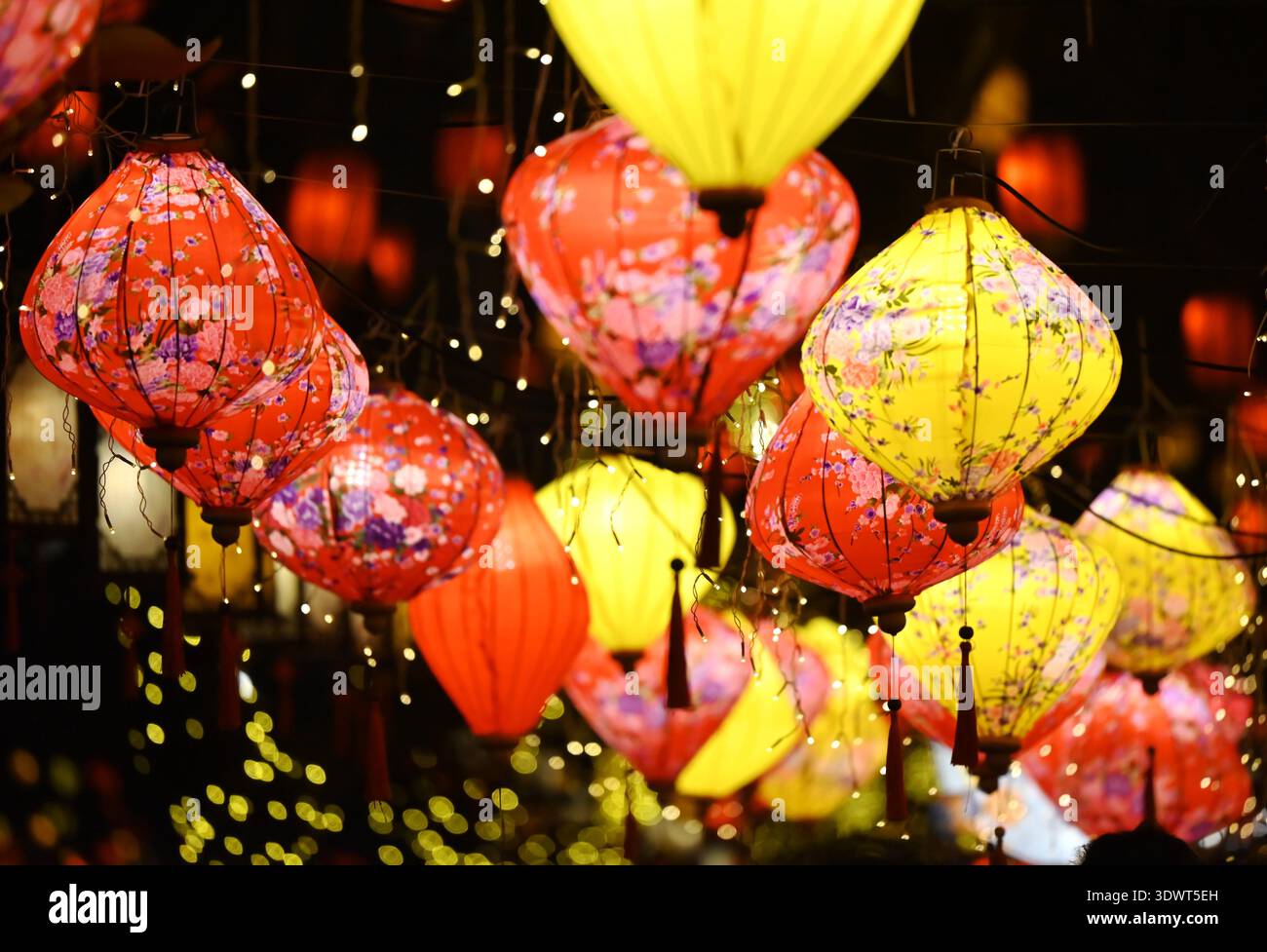 Visitors admire lantern displays in Tongqing Street, Haidian District ...