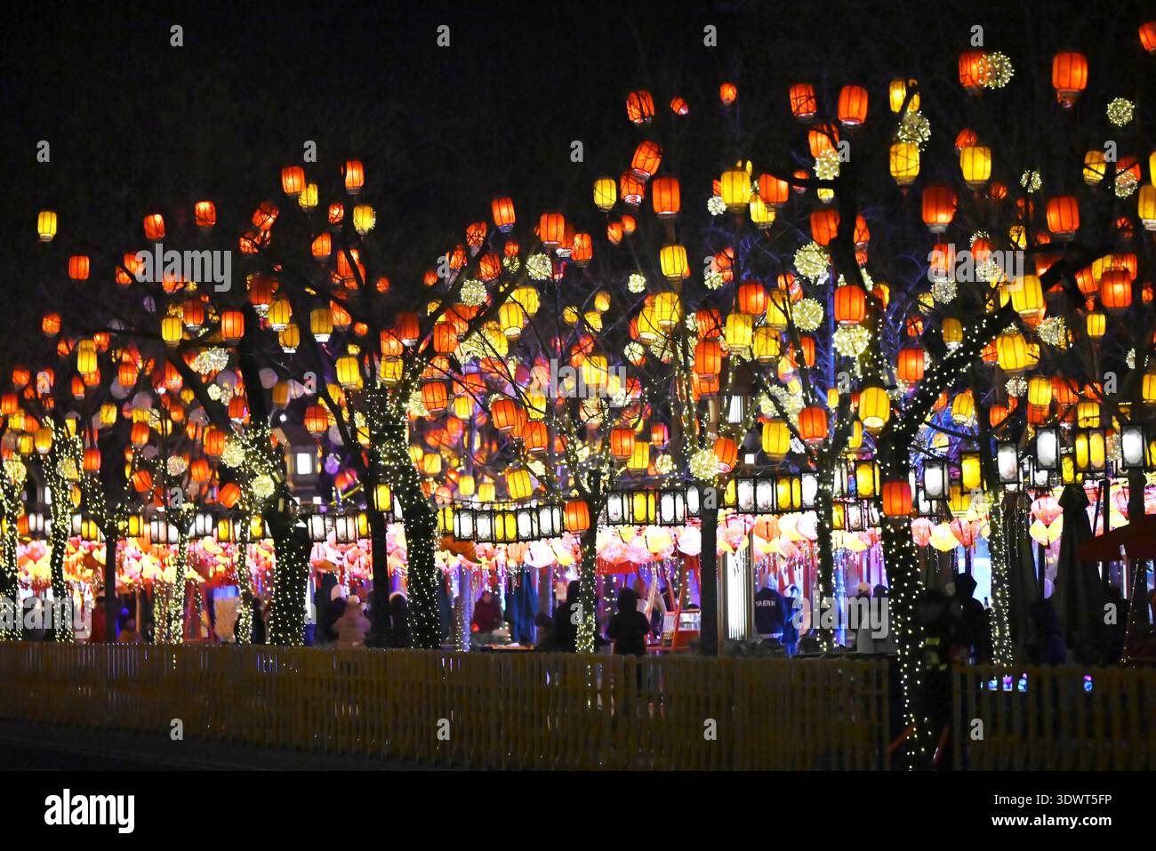 Visitors admire lantern displays in Tongqing Street, Haidian District ...