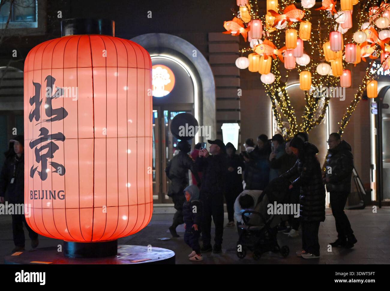 Visitors admire lantern displays in Tongqing Street, Haidian District ...