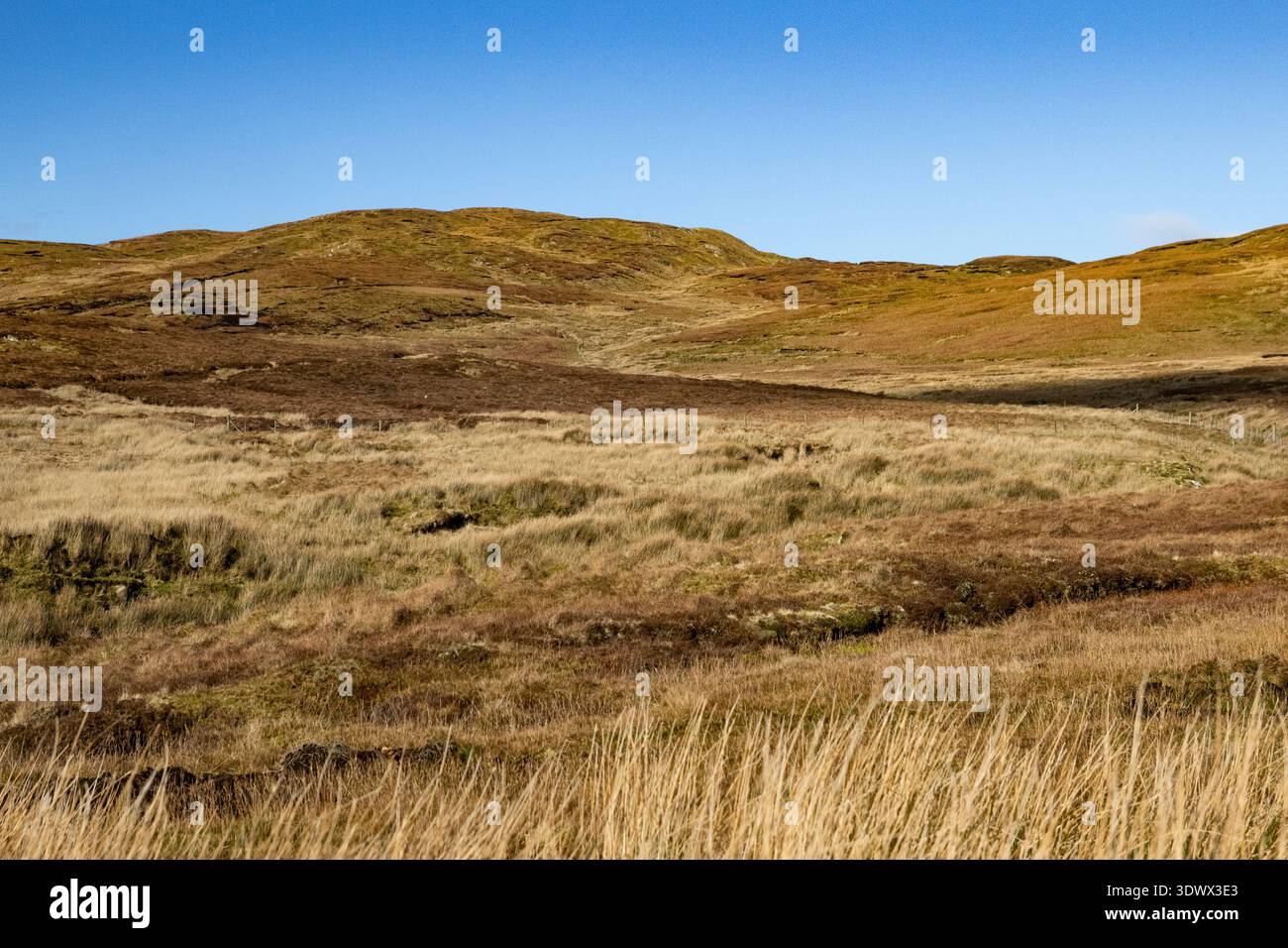 Upland bog and heath landscape at Glasmullan on the Inishowen Peninsula ...