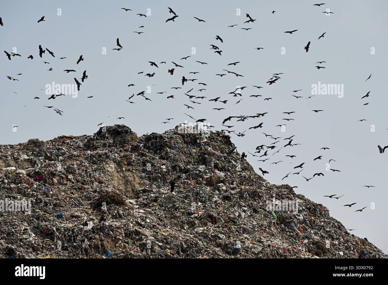NEW DELHI, INDIA FEBRUARY 28: A view of the Okhla landfill site ...