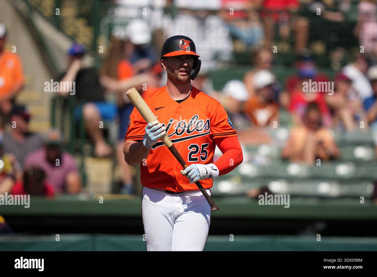 Baltimore Orioles' Pete Alonso plays during a spring training baseball ...