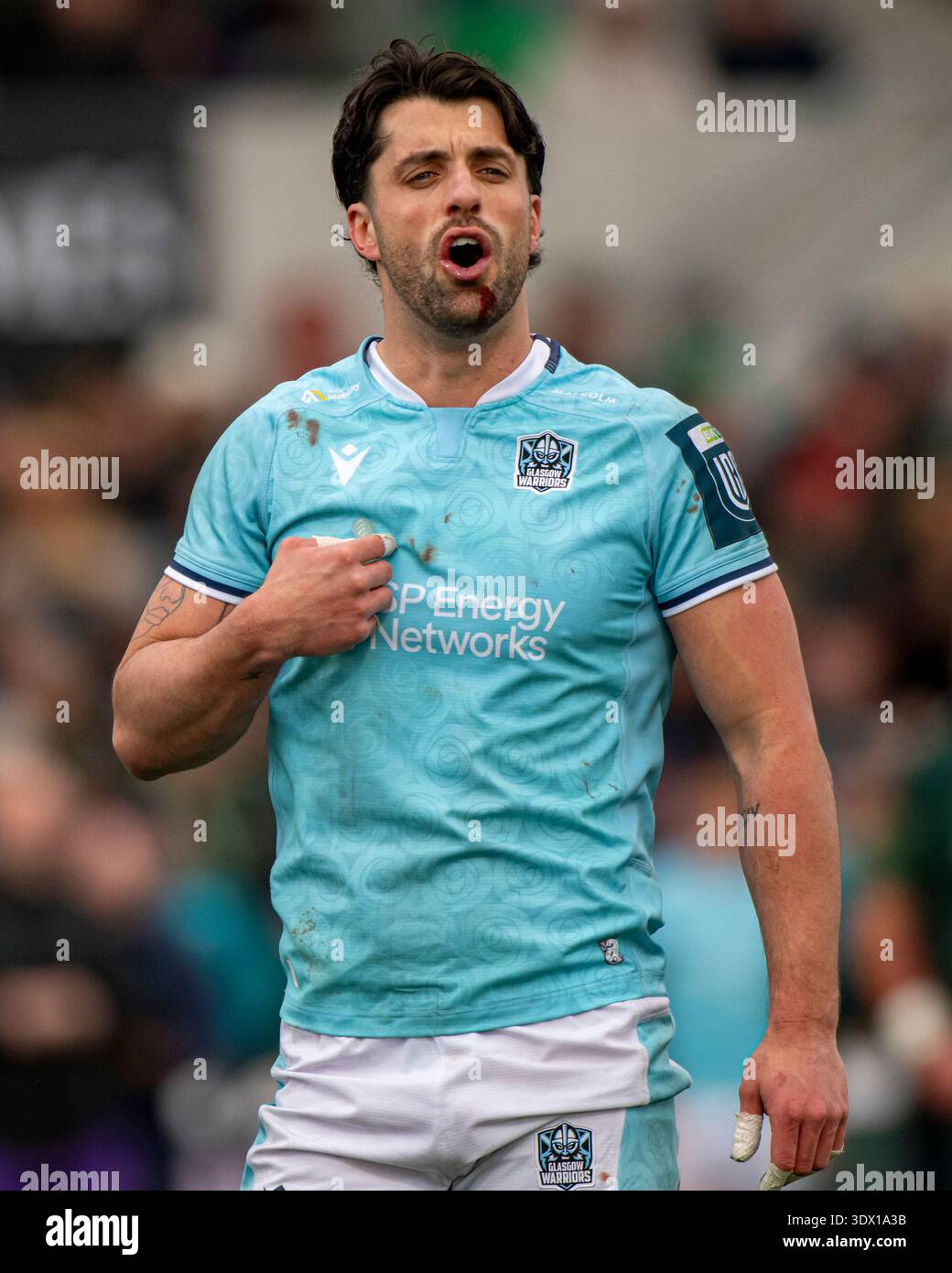 Adam Hastings of Glasgow Warriors during the United Rugby Championship ...