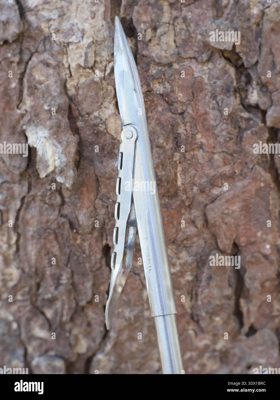 Sharp metal spearhead tip with barb attachment Stock Photo - Alamy