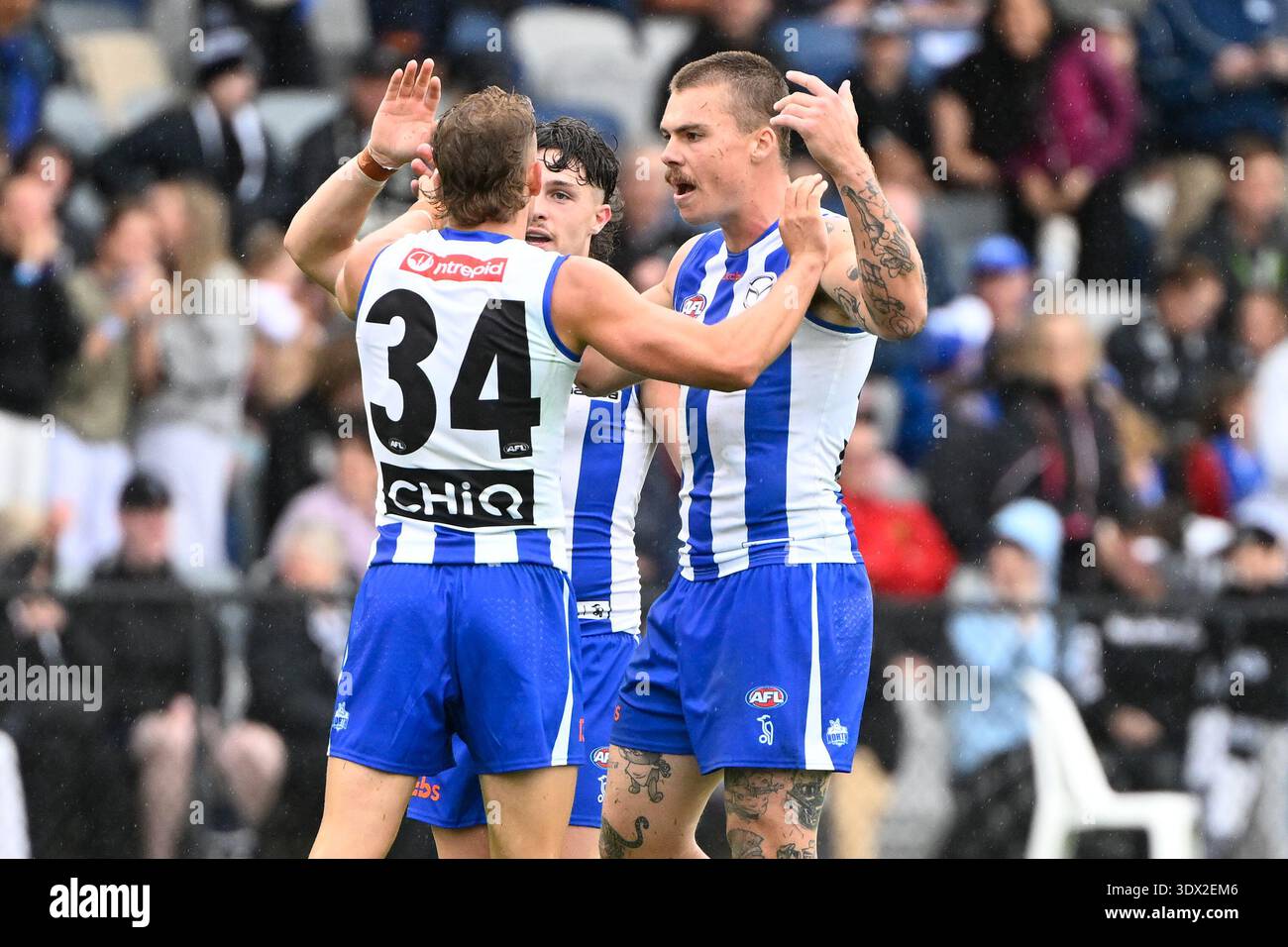Cameron Zurhaar of the Kangaroos (right) celebrates with Jackson Archer ...
