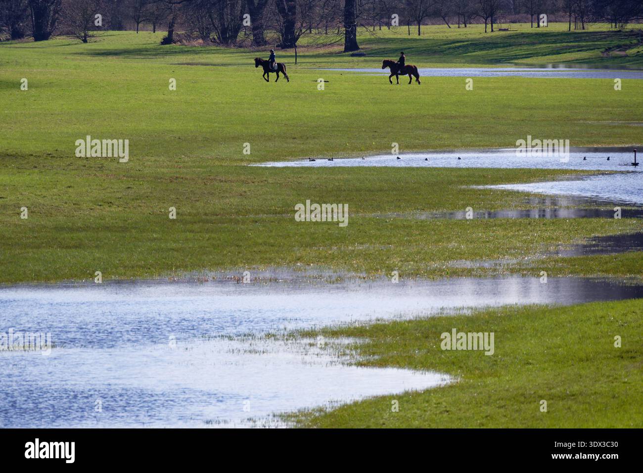 Cologne, Germany. 01st Mar, 2026. Riders enjoy the sunny Sunday weather ...