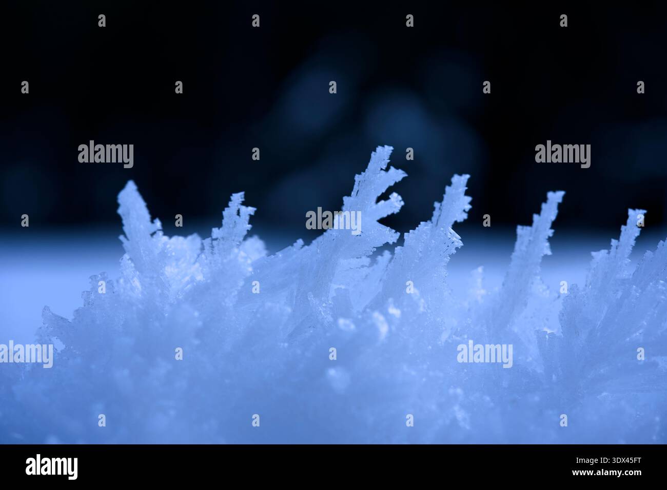 Microscopic ice hi-res stock photography and images - Alamy