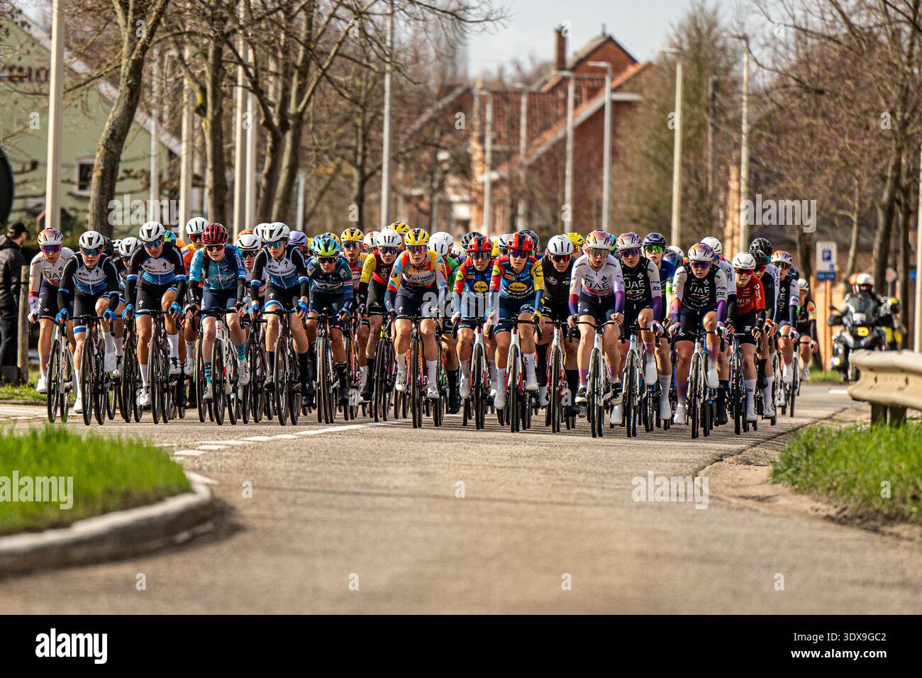 01 March 2026, Belgium – UCI WE 1.1 – 2026 Omloop van het Hageland ...
