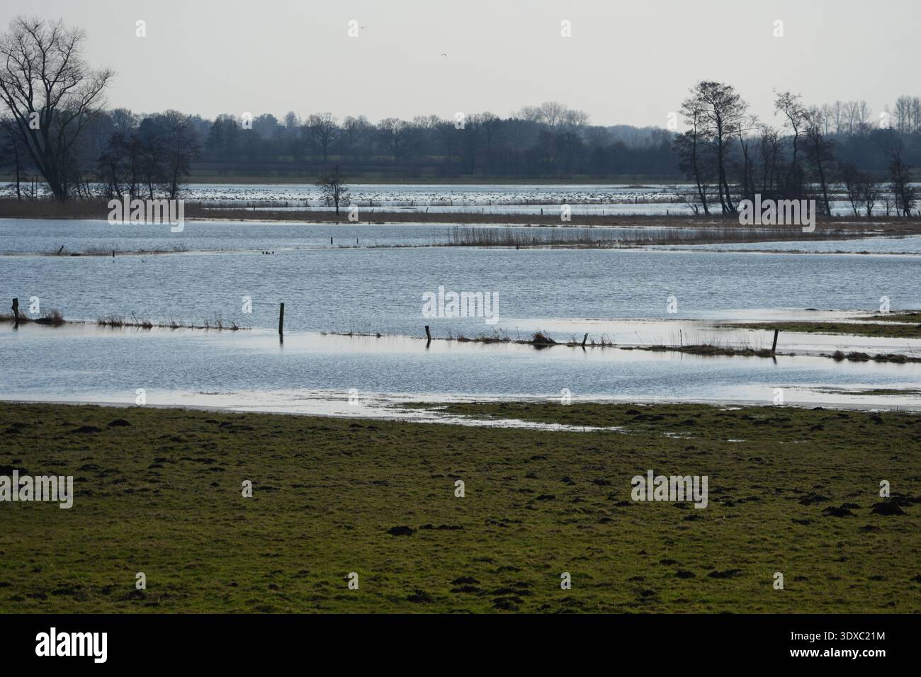 02 March 2026, Schleswig-Holstein, Ahrensbök: A flooded field can be ...