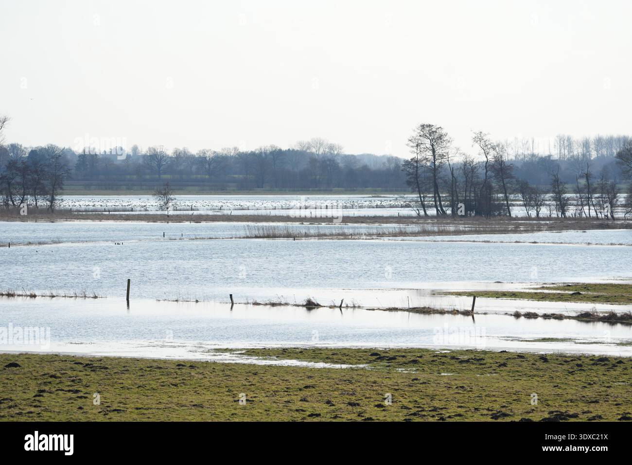 02 March 2026, Schleswig-Holstein, Ahrensbök: A flooded field can be ...