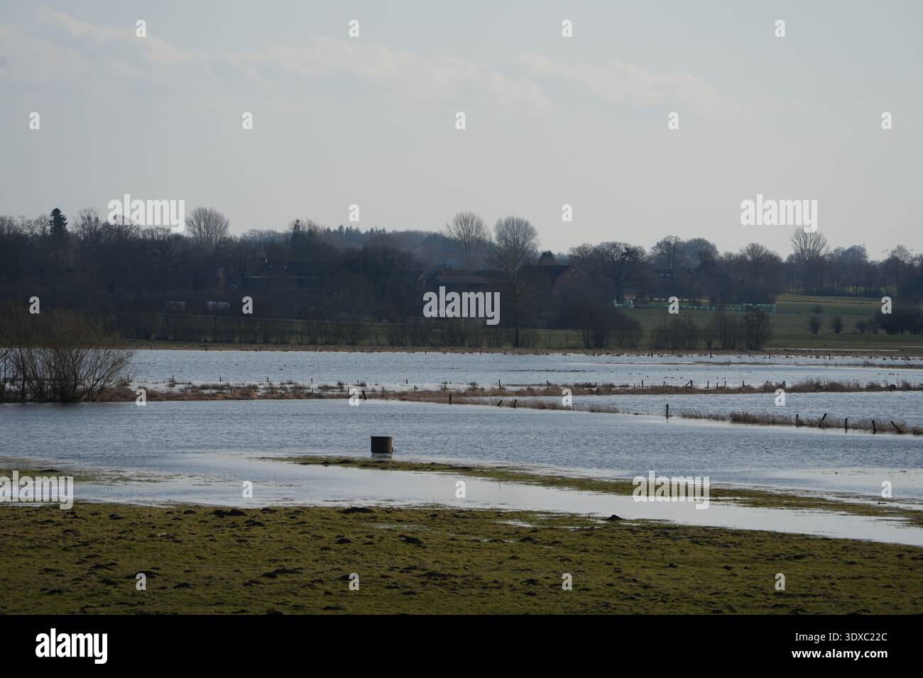 02 March 2026, Schleswig-Holstein, Ahrensbök: A flooded field can be ...