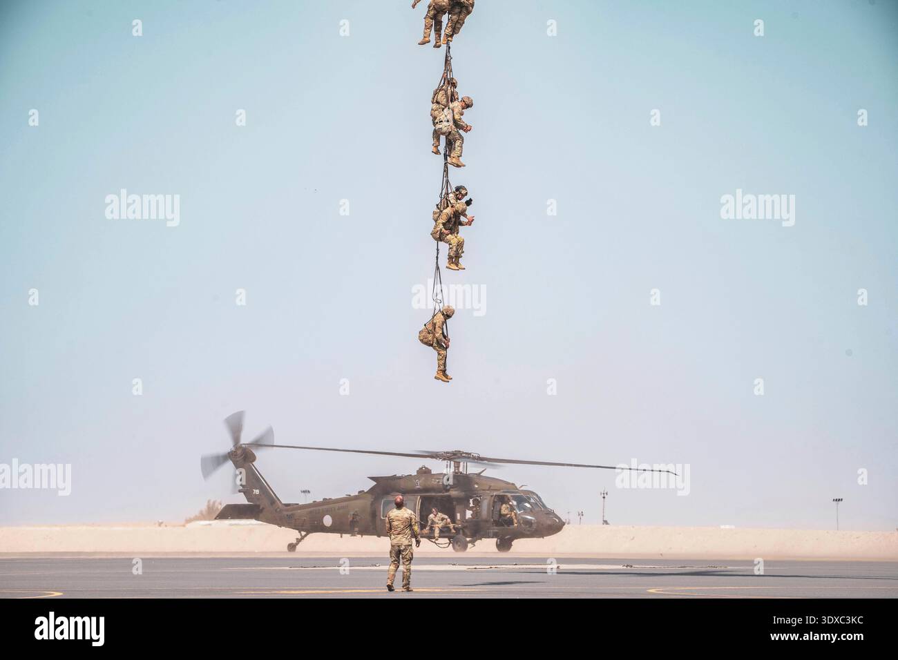 Precise extraction hi-res stock photography and images - Alamy