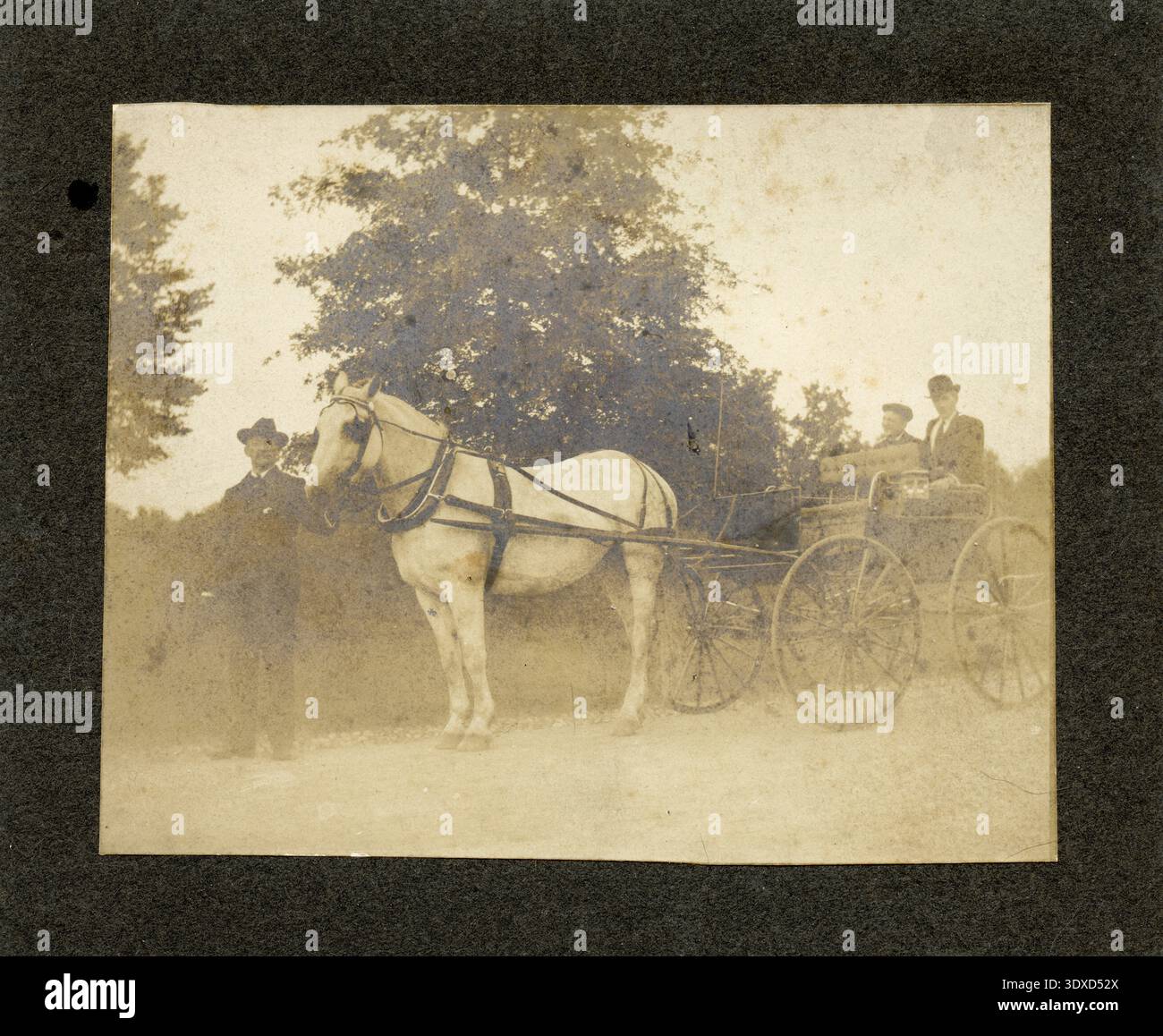 White Horse and carriage, with driver holding the reins and two people ...