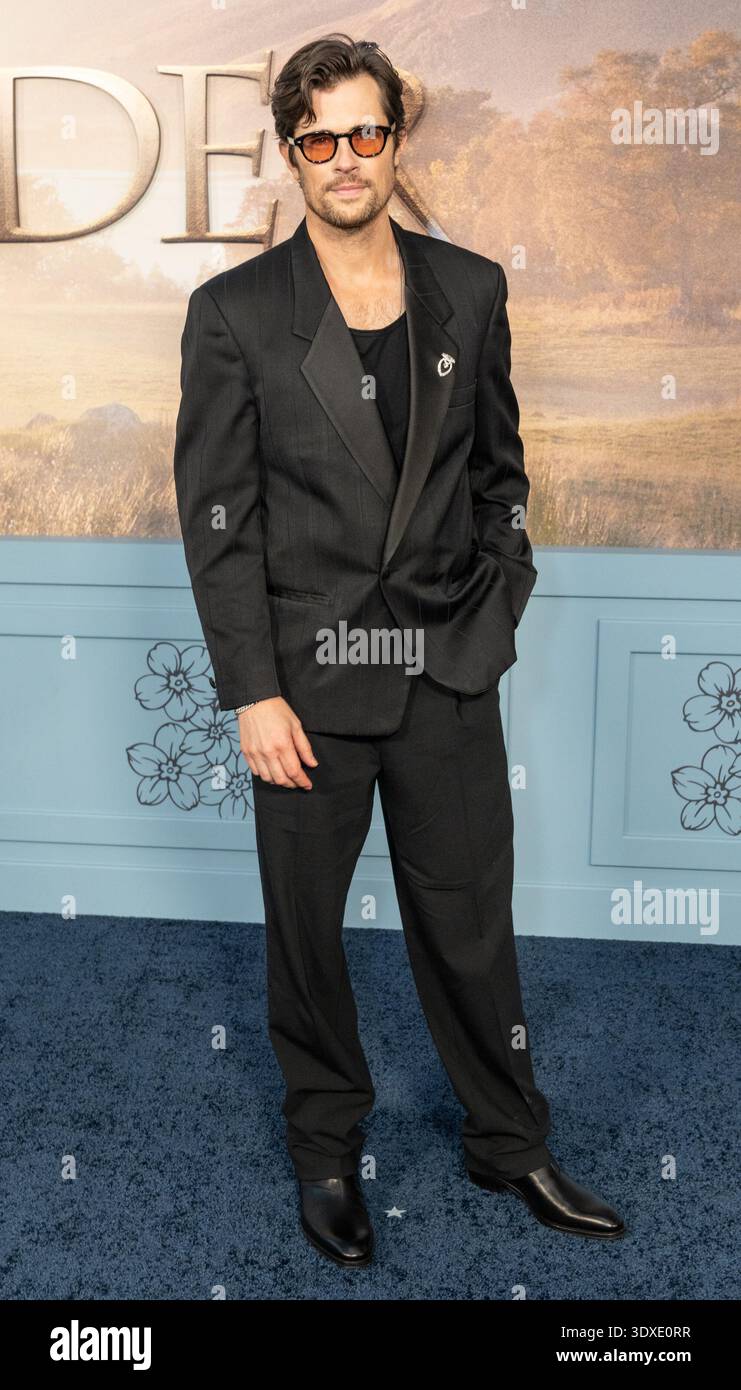 David Berry attends season eight of 'Outlander' premiere at Alice Tully ...