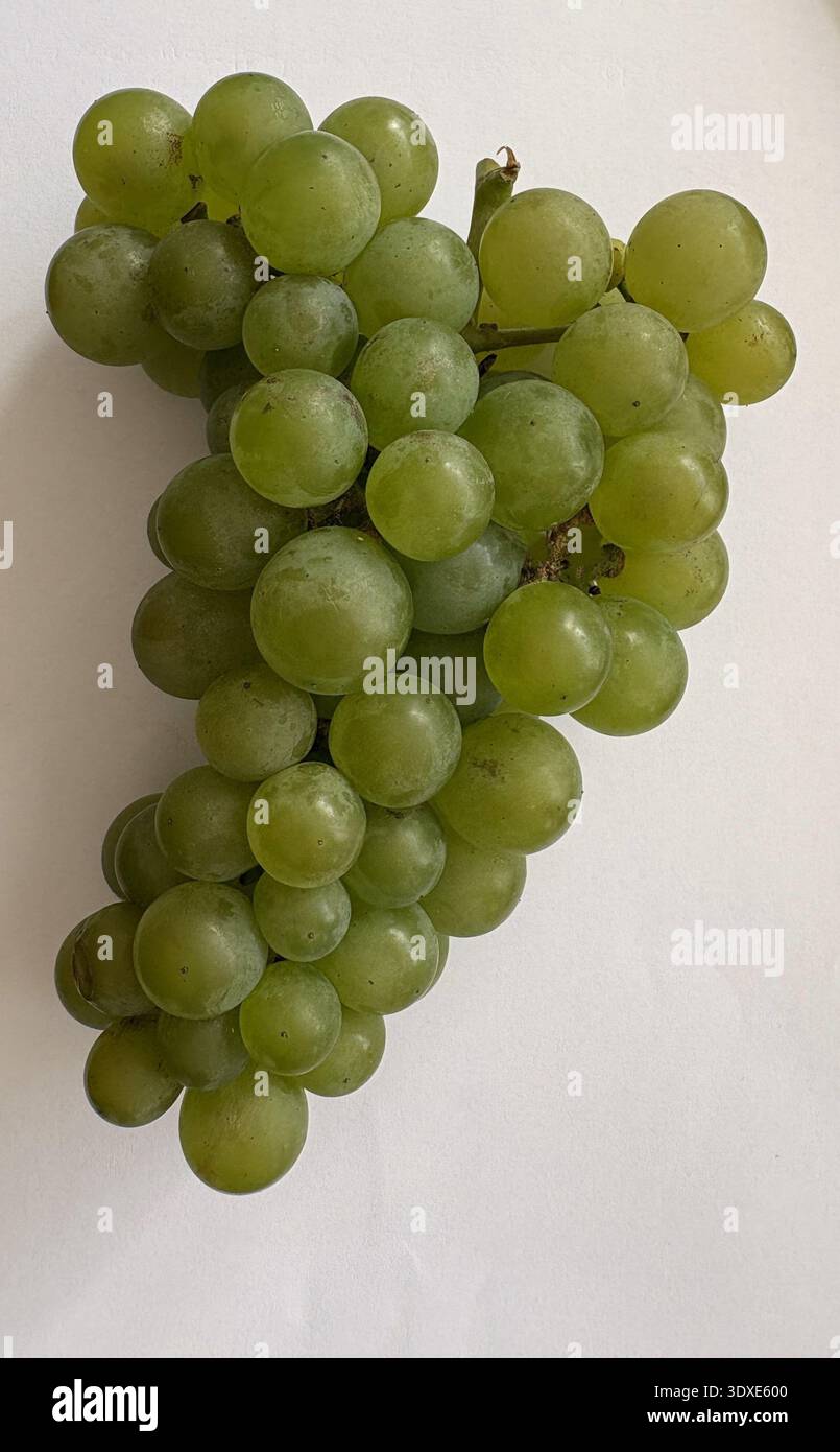 Fresh Green Seedless Table Grape Bunch Isolated on a White Background ...