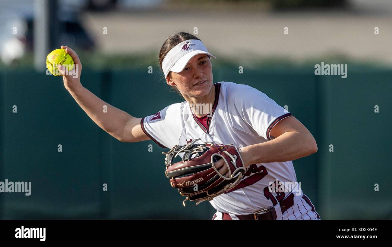Southern Illinois infielder Sarah Cook (13) during an NCAA softball ...