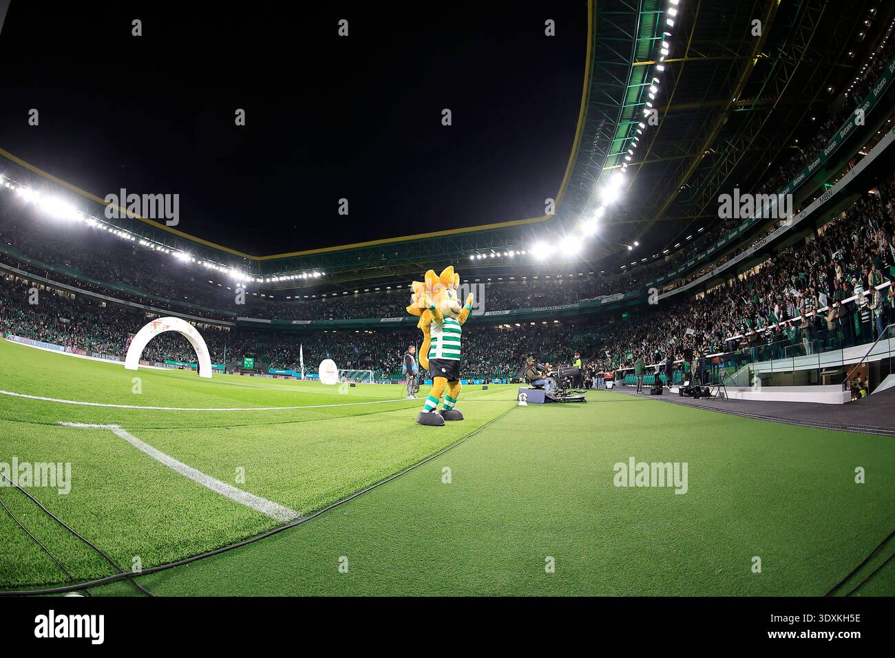 Sporting CP mascot during the Portugal Cup match between Sporting CP ...