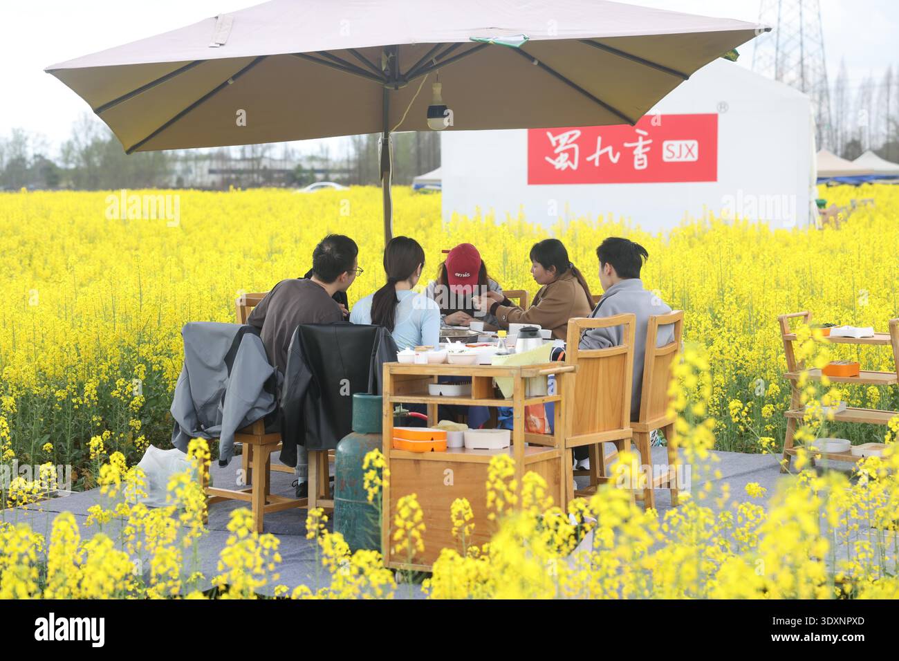 Tourists enjoy hotpot surrounded by blooming rapeseed flowers in ...