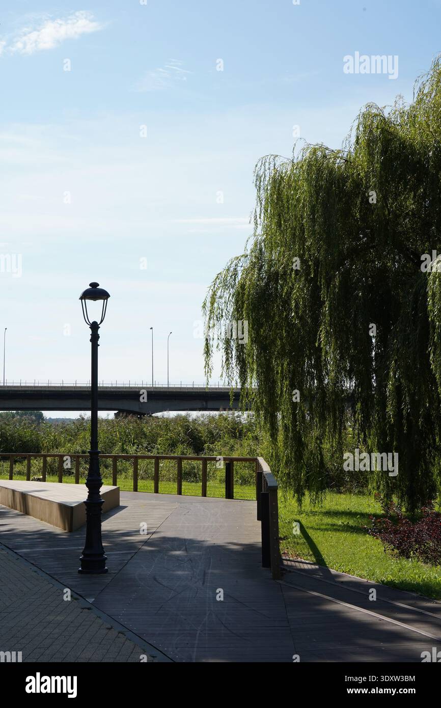 Riverside boardwalk with vintage street lamp, weeping willow tree and ...