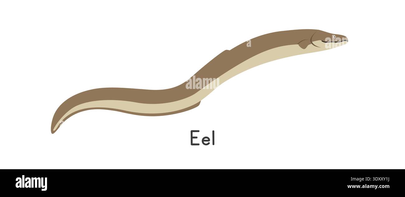 Eel vector illustration, cartoon clipart, animal in flat style. Sea ...