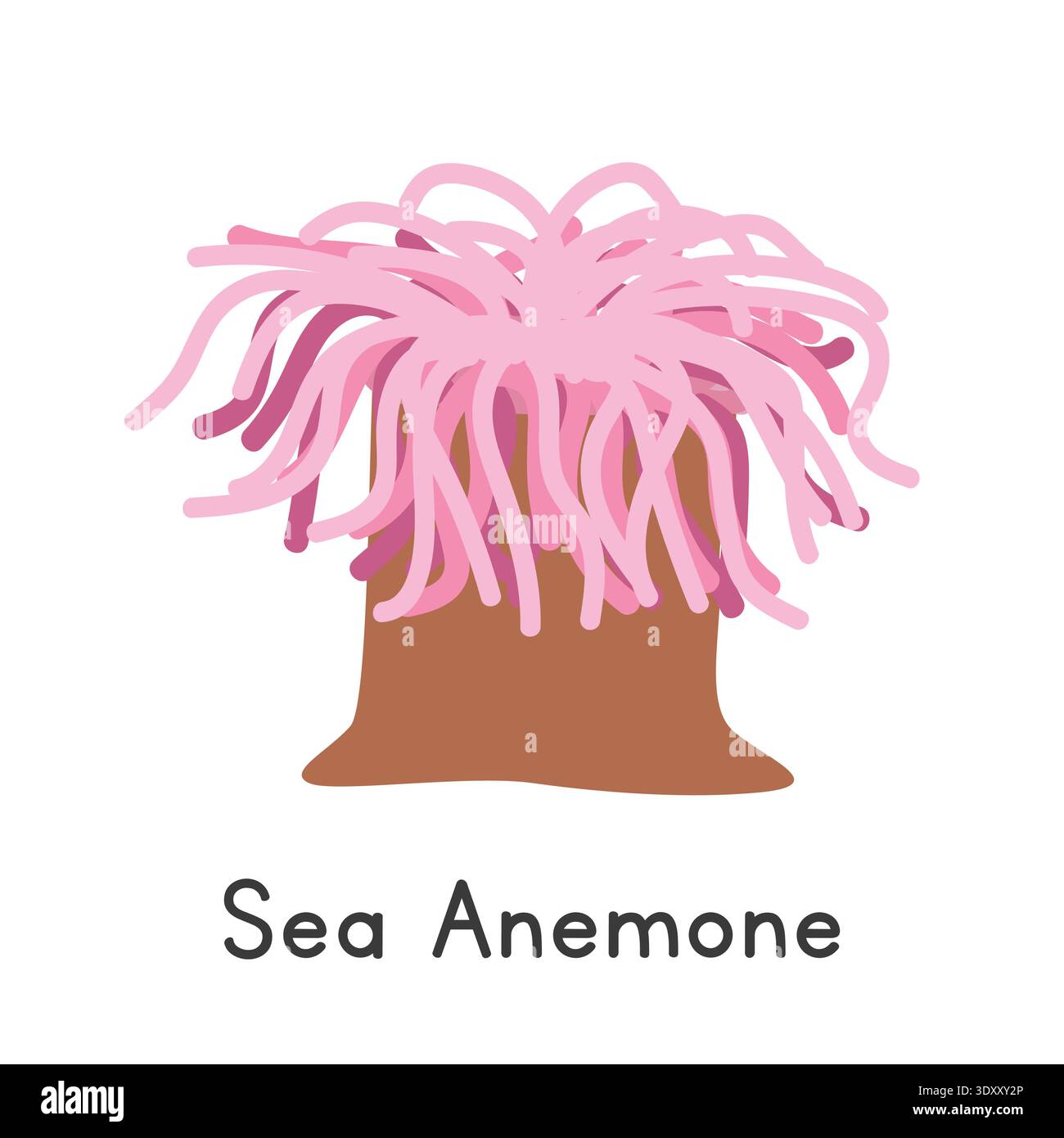 Sea anemone vector illustration. Cute colorful sea flower cartoon ...