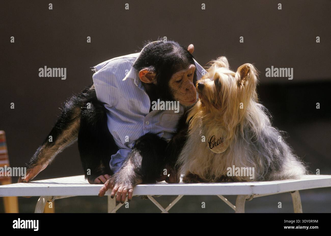 1980s tv advert hi-res stock photography and images - Alamy