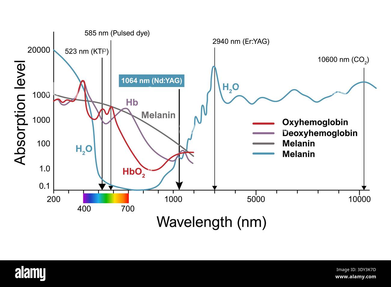 Scientific diagram showing absorption spectra of hemoglobin, melanin ...