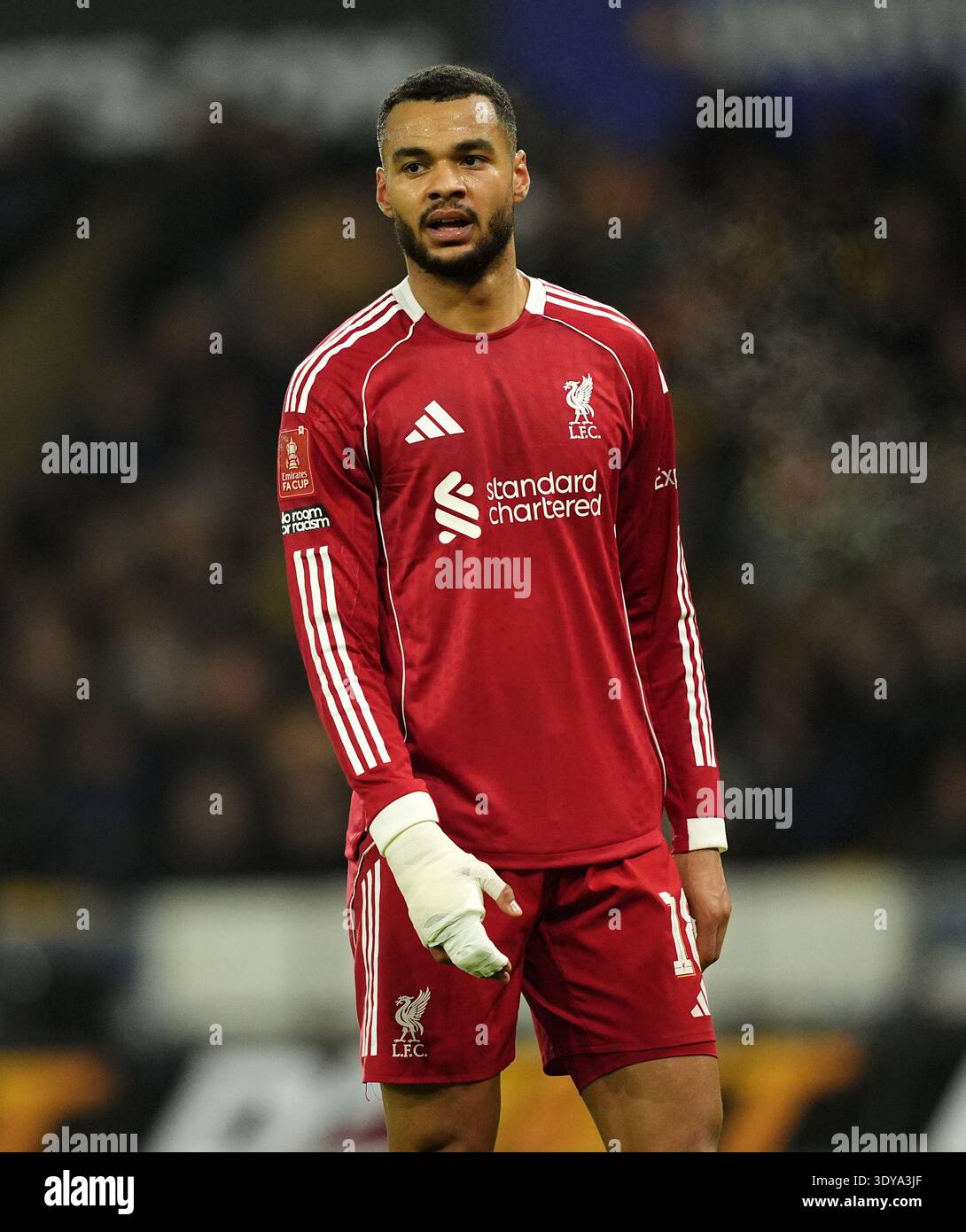 Liverpool's Cody Gakpo during the Emirates FA Cup fifth round match at ...