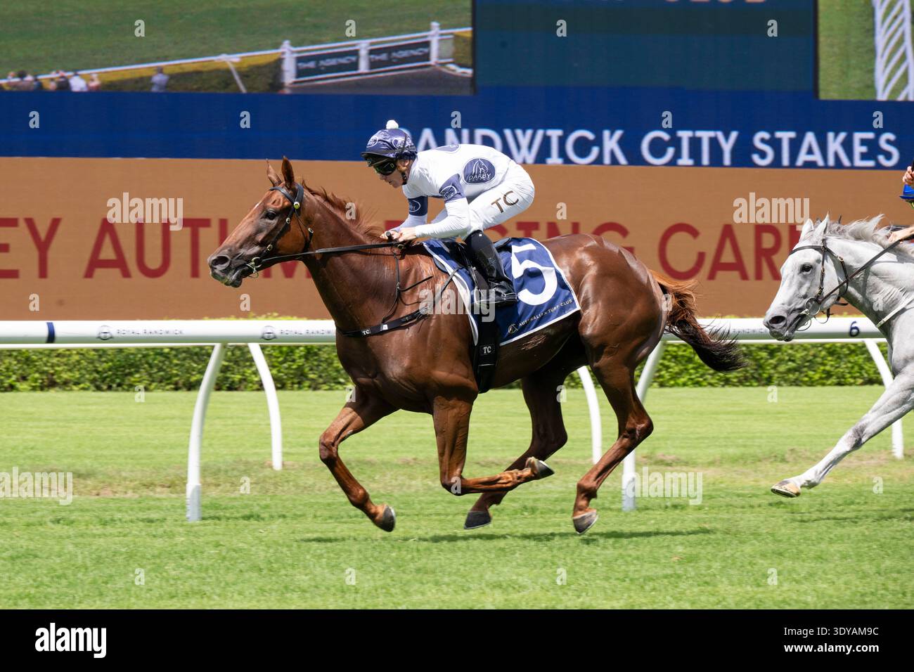 CAMPALDINO,Z 2 RW 07032026 B031 Randwick Australia7,March 2026 Credit ...