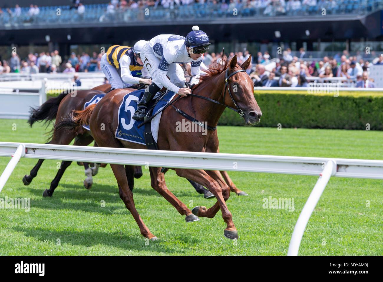 CAMPALDINO,Z 2 RW 07032026 E218 Randwick Australia7,March 2026 Credit ...