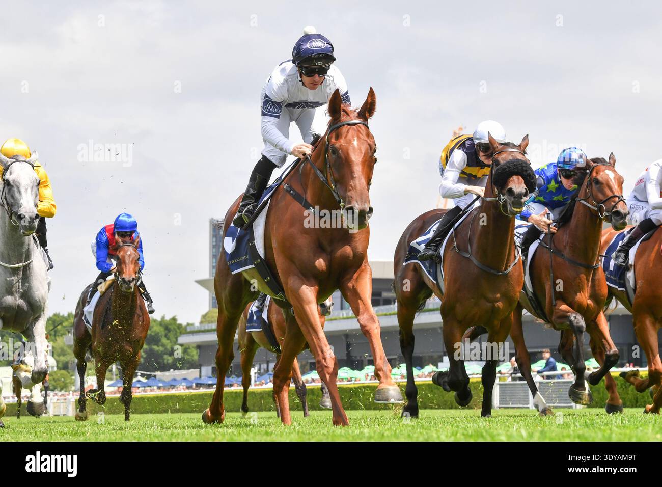 CAMPALDINO,Z 2 RW 07032026 F047 Randwick Australia7,March 2026 Credit ...