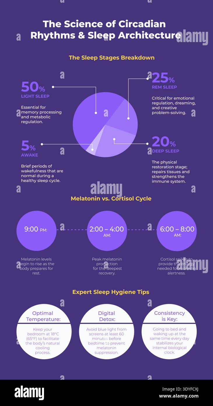 Science of circadian rhythms and sleep architecture infographic ...