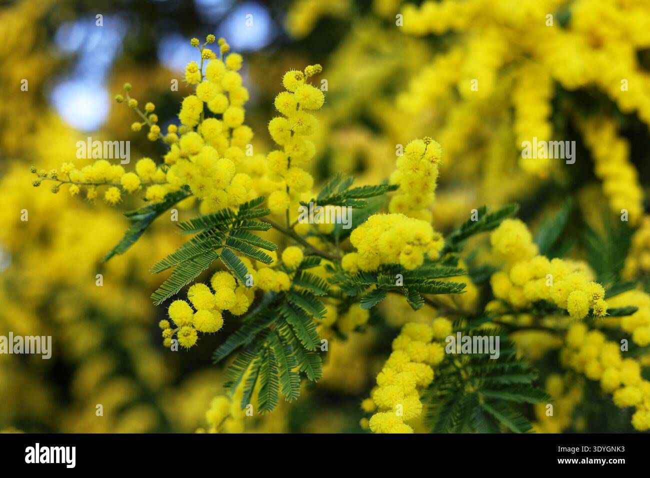 Taken in spring 2026 hi-res stock photography and images - Alamy