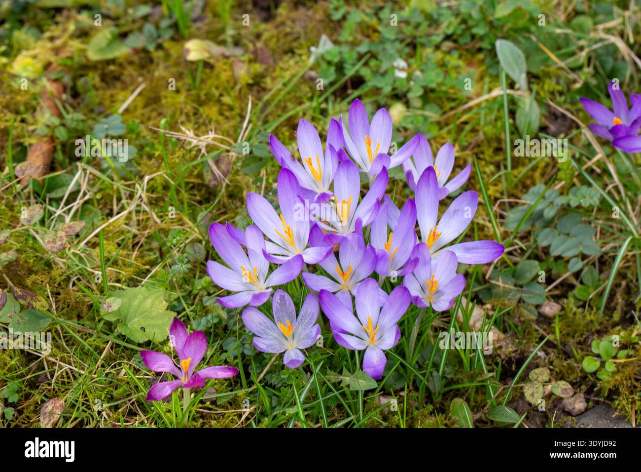 Taken in spring 2026 hi-res stock photography and images - Alamy
