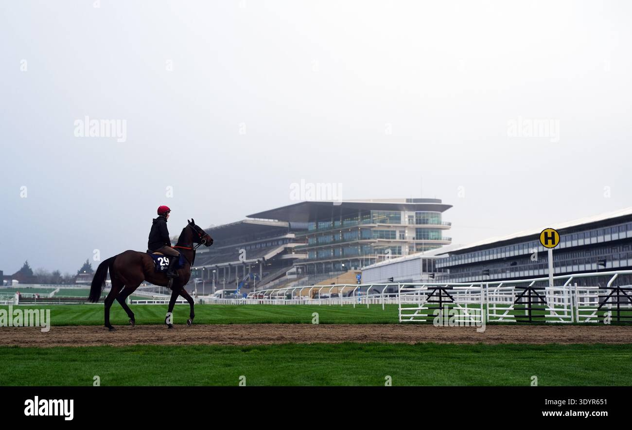 A Gordon Elliott trained horse makes their way in after a run on the ...